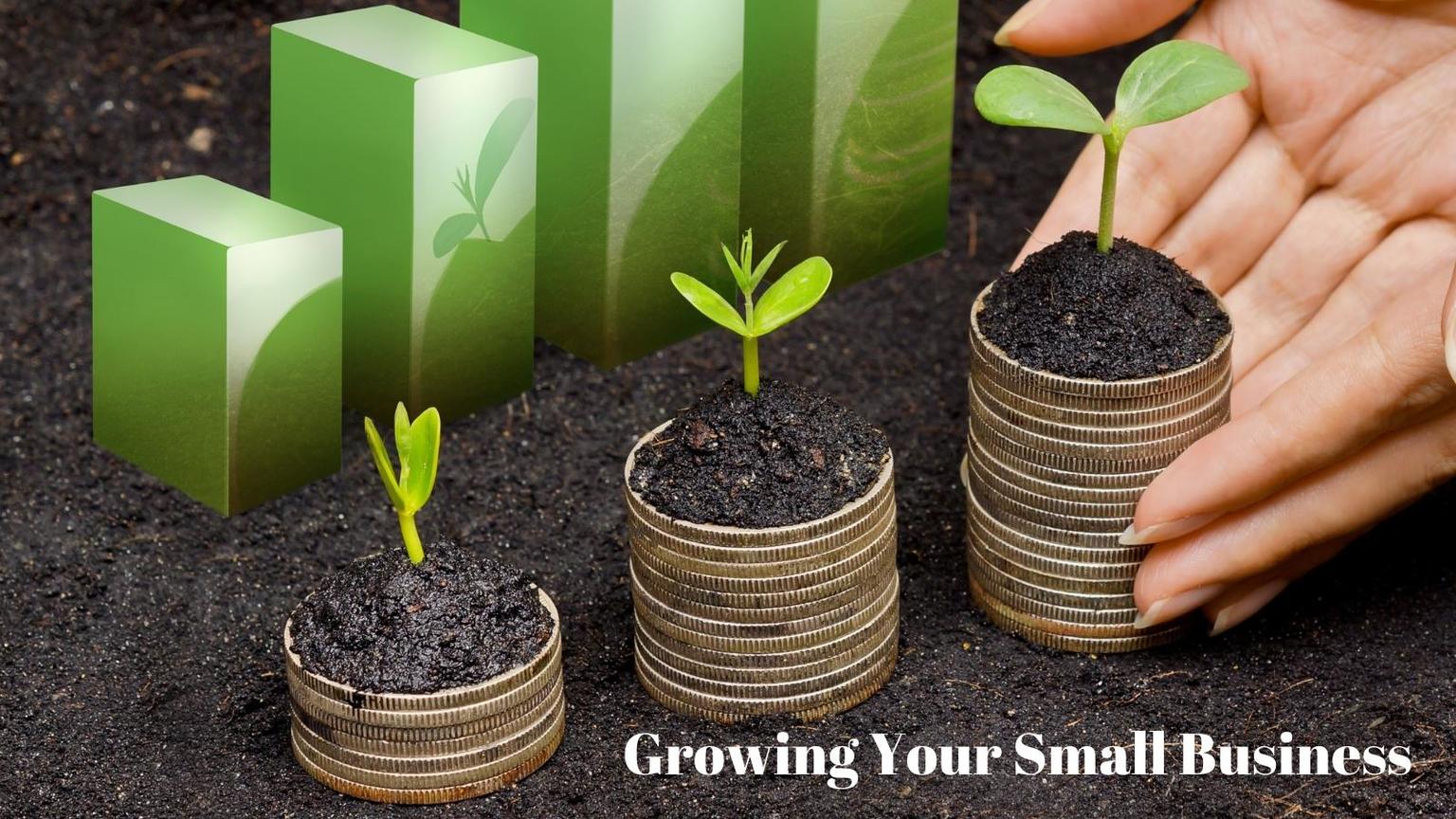 Growing Your Business Fast -What Are Your Options?