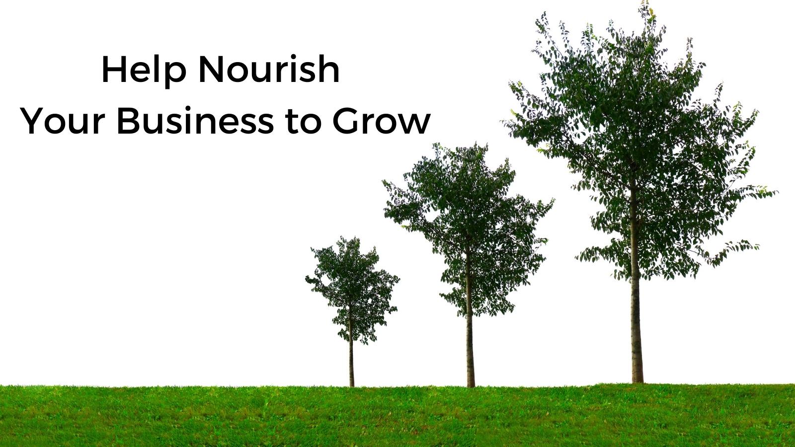 Help Your Business Grow By Nourishing It Constantly