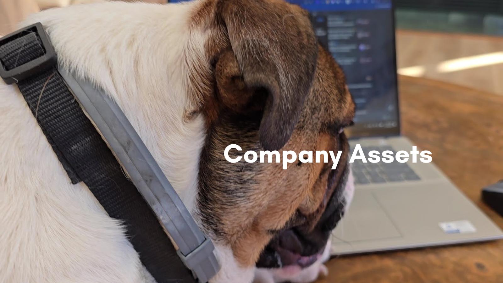 Company Assets: 7 Effective Ways To Encourage Employee Care